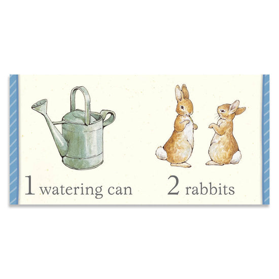 Peter Rabbit My First Little Library Hard Cover Nēktar Gifts Australia